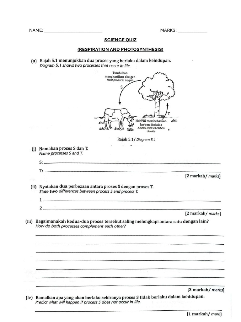 Cell Respiration AND Photosynthesis Quiz | PDF