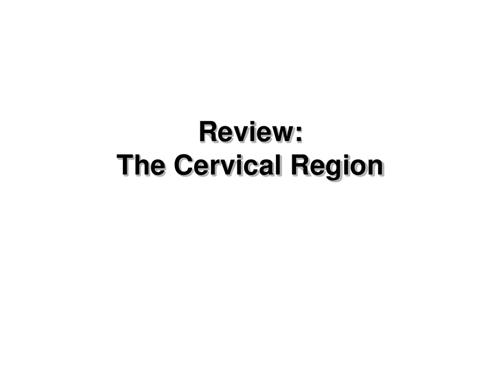 Cervical Region: Anatomy Overview | PDF