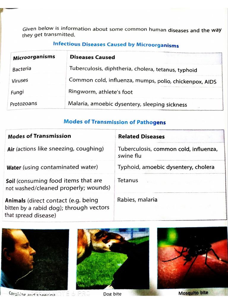 Microbes Pdf