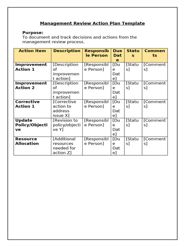 Management Review Action Plan Template | PDF