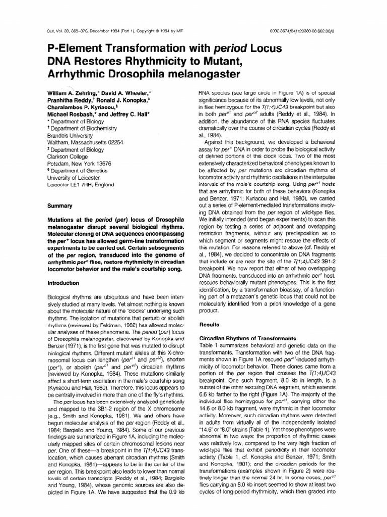 Papers Clases - P Element Transformation With Period Locus DNA Restores ...