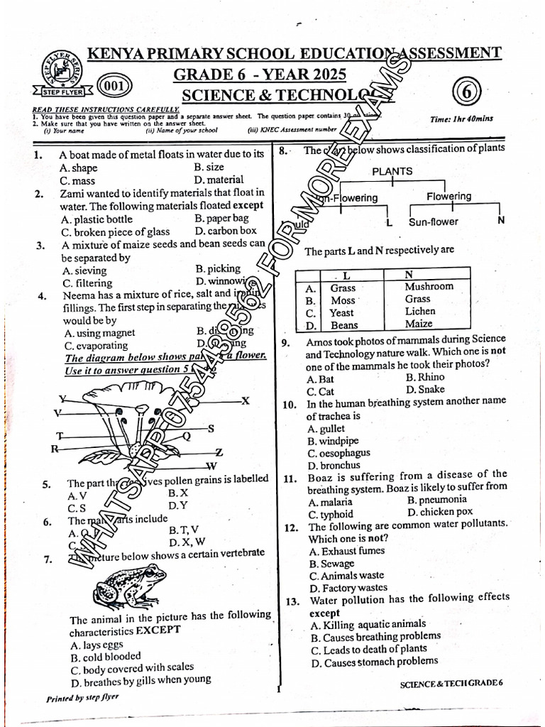 G6 Science and Technology 001 2025 Step Flyer | PDF
