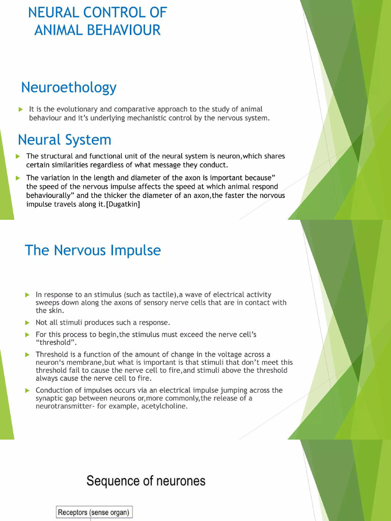 Neural Control of Animal Behavior | PDF