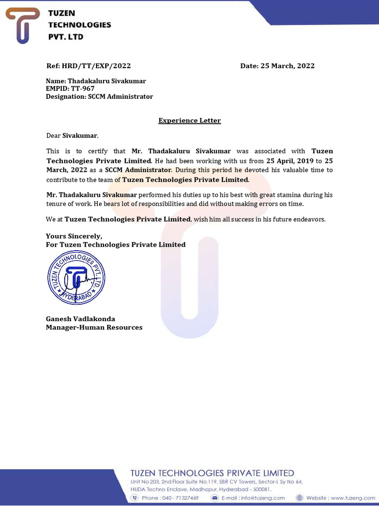 Tuzen Experience | PDF