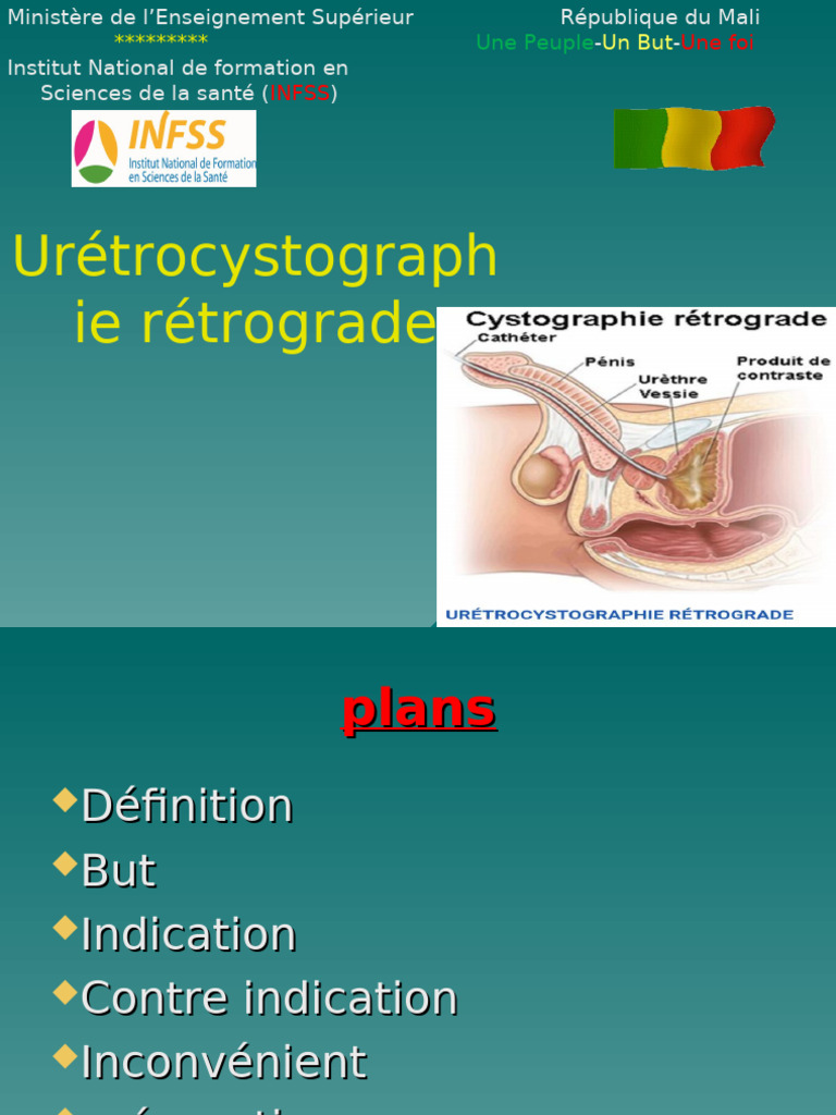 Retro Cyst Ogr A | PDF | Urine | Urologie