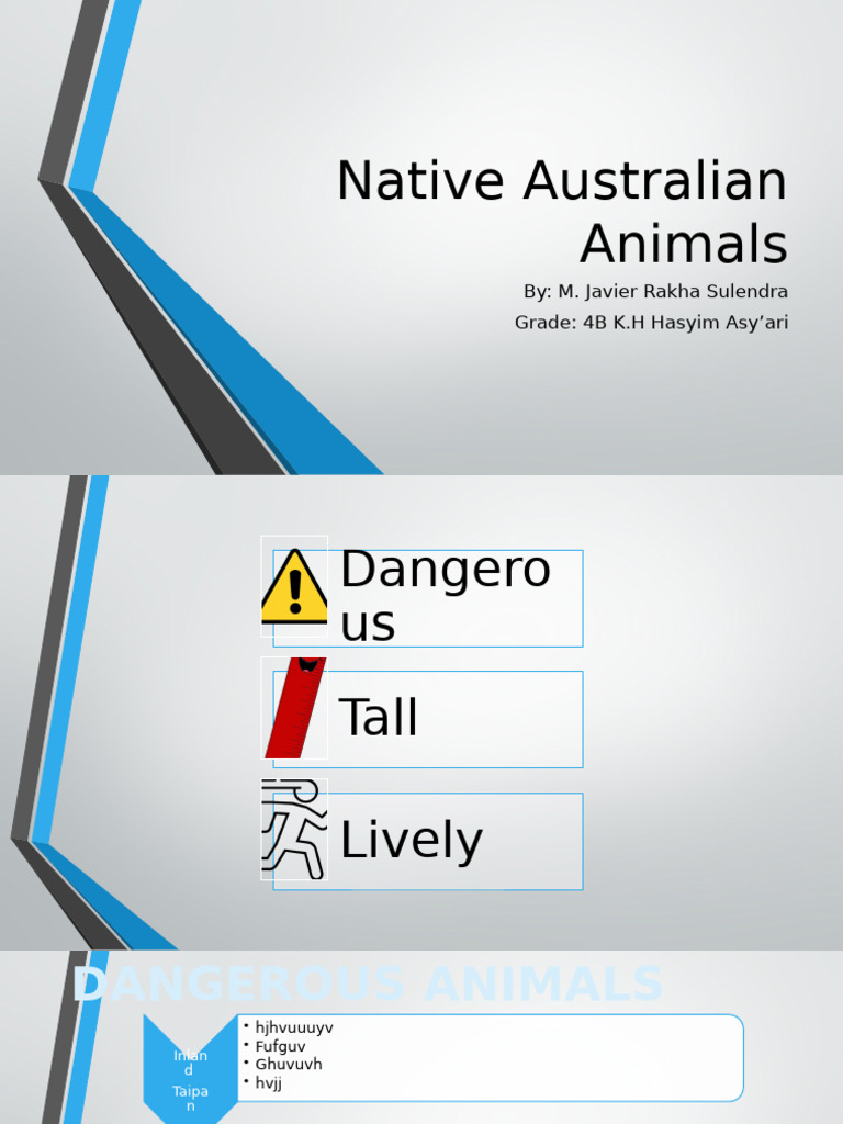 Native Australian Animals | PDF