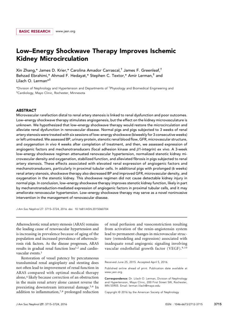 2-Zhang (Lerman) Et Al 2016-Low-Energy Shockwave Therapy Improves Ischemic Kidney ...
