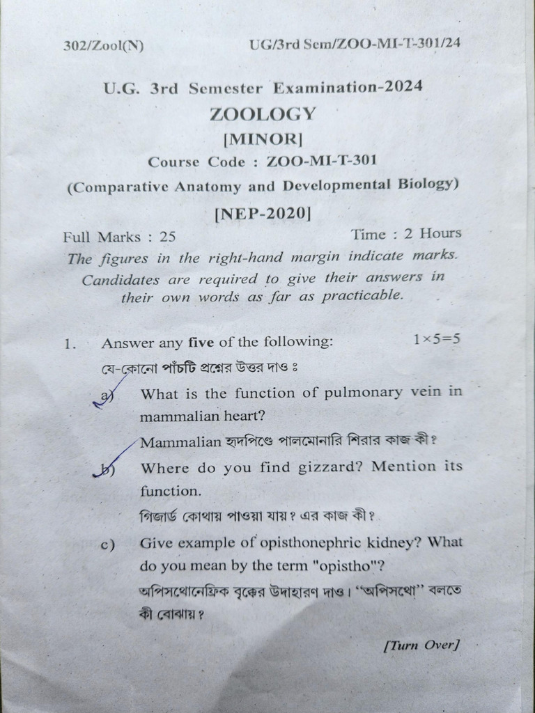 Zoology Minor 3rd Sem 2025 | PDF | Heart | Aorta