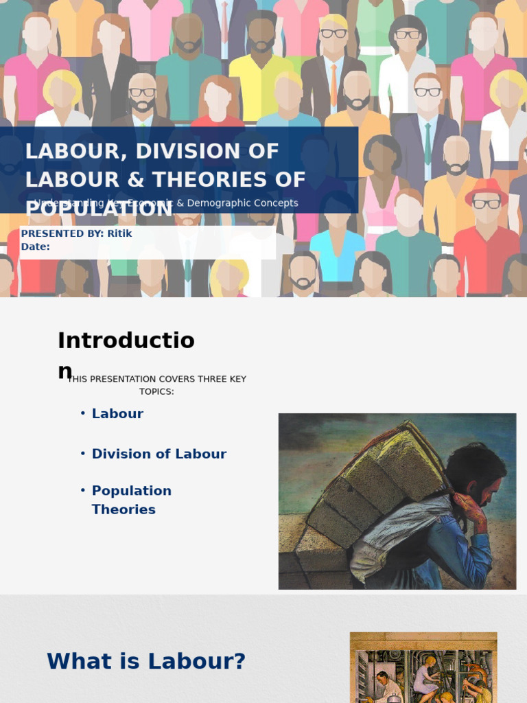 local Labour | PDF | Labour Economics | Division Of Labour