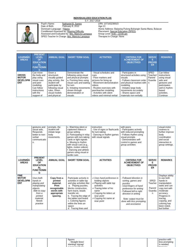Sample Individualized Education Plan 1 | PDF | Individualized Education ...