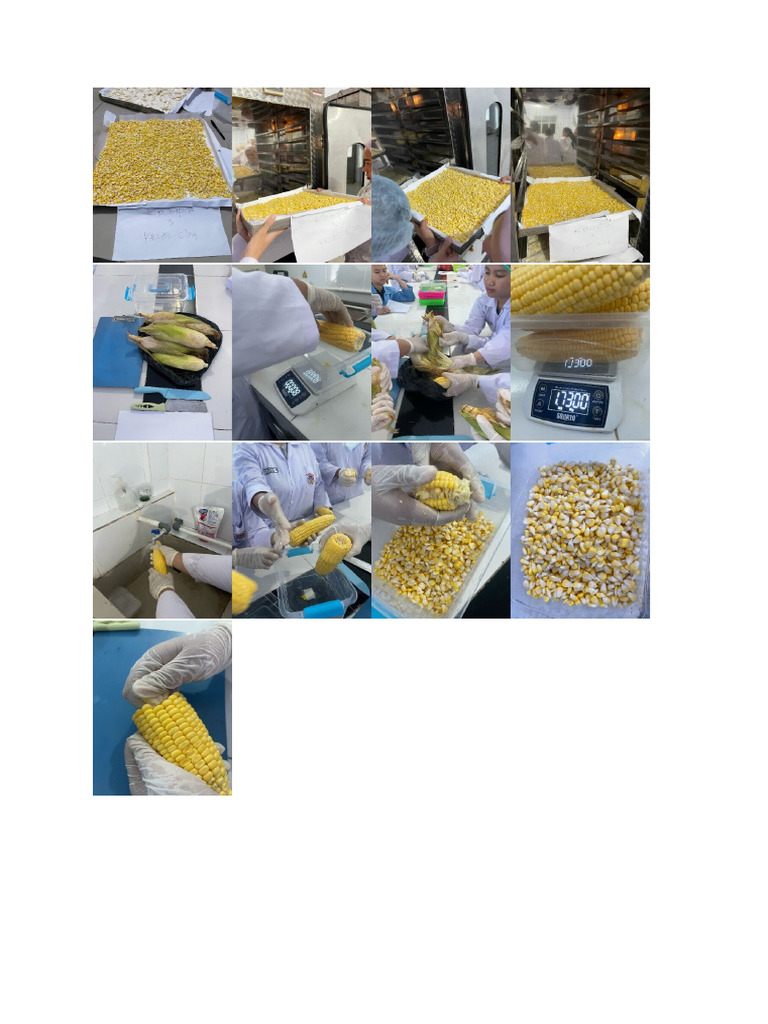 Dokumentasi Simplisia | PDF