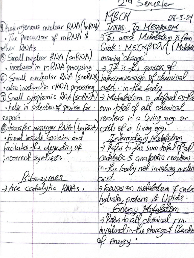 Ibrahim's MBCH Metabolism | PDF