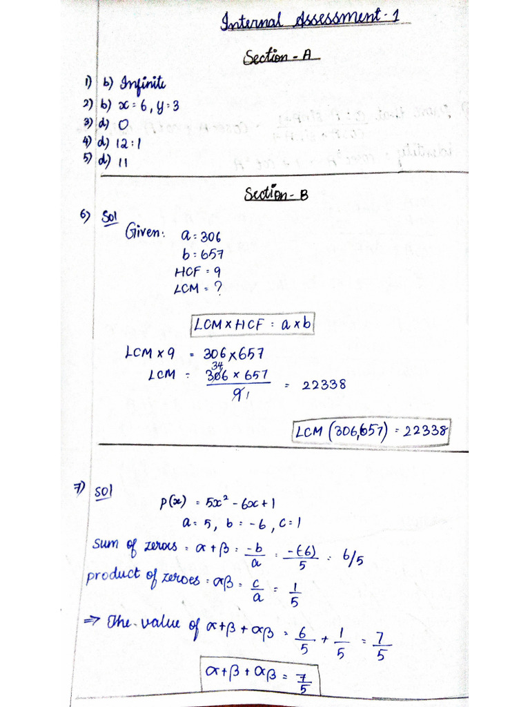 Math Internal Assessment I | PDF