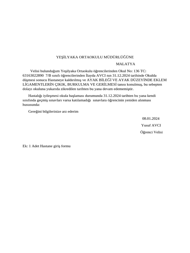 İLAYDA DİLEKÇE | PDF