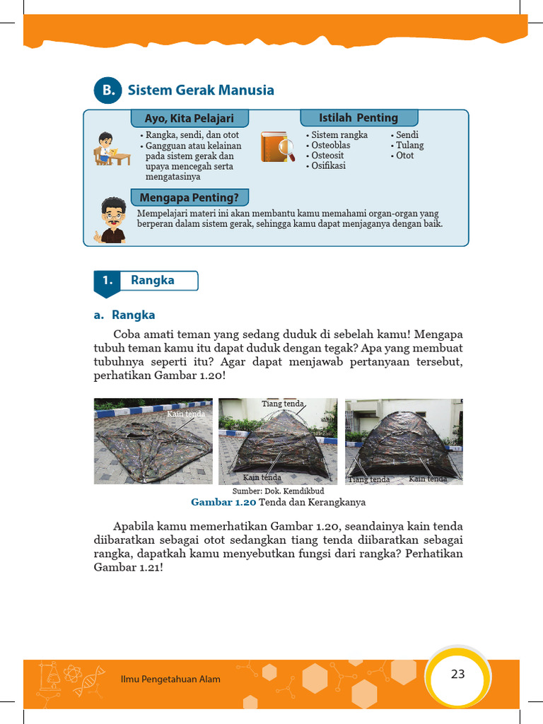 Ipa Materi Gerak | PDF