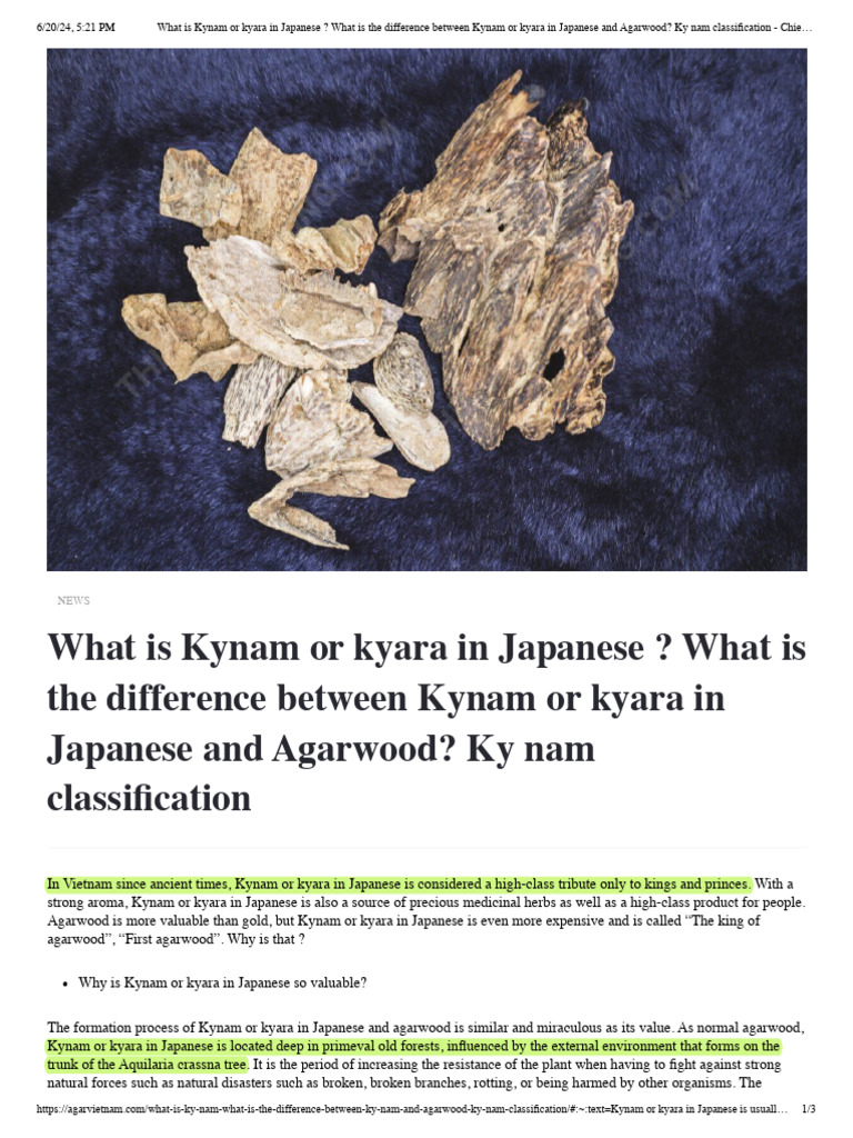 What Is Kynam or Kyara in Japanese What Is The Difference Between Kynam ...