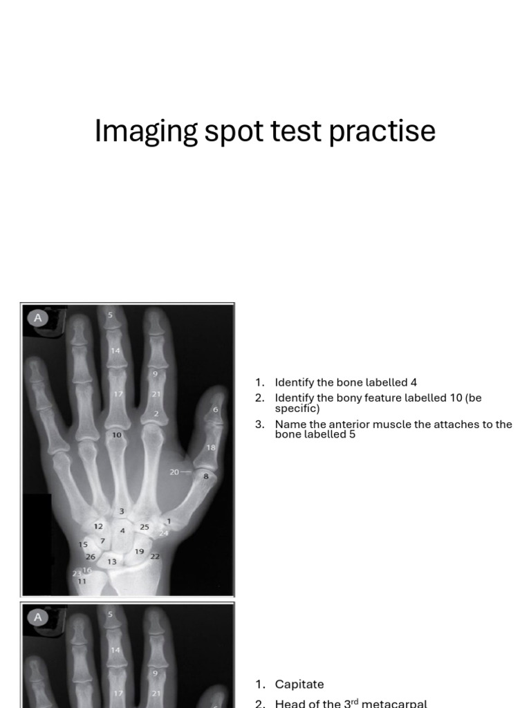Imaging Spot Test Practise | PDF