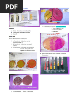 Atcc Strains | PDF | Beta Lactamase | Staphylococcus