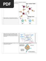 IB Biology IA Criteria for 2025 | PDF | Methodology | Statistics