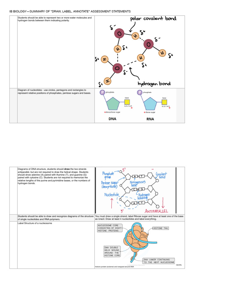 List of Diagrams IBDP Biology 2025 | PDF | Dna | Cell (Biology)