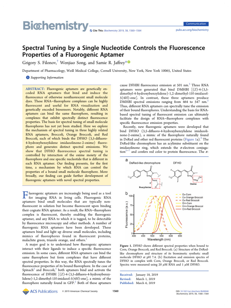 Filonov Et Al 2019 Spectral Tuning by a Single Nucleotide Controls the ...
