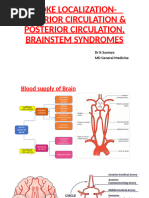 Bamford Classification of Stroke | PDF | Science & Mathematics