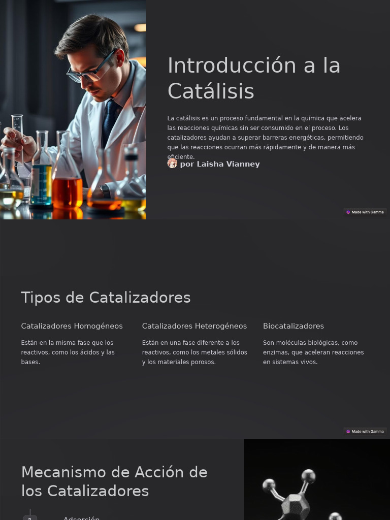 Introduccion A La Catalisis | PDF