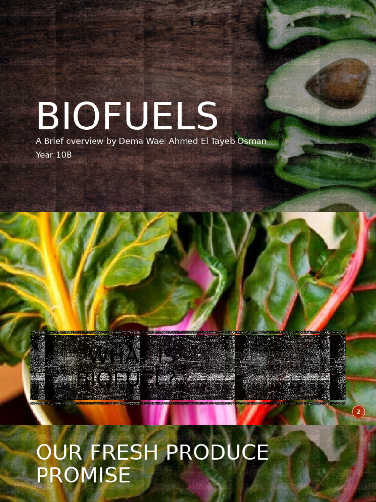 Biofuels | PDF