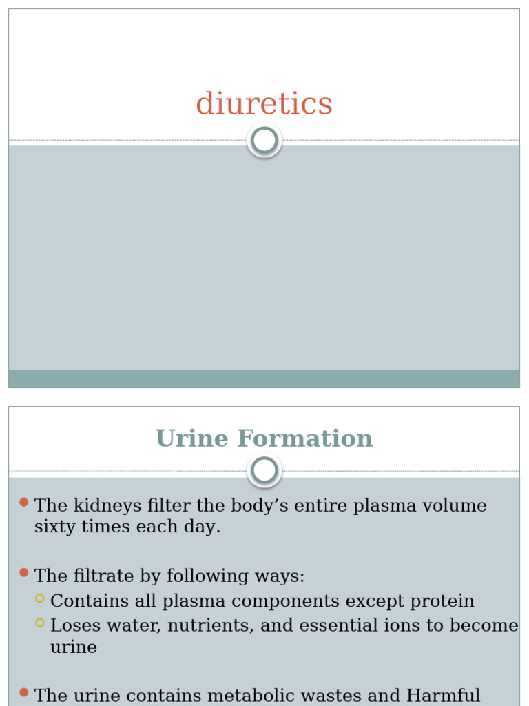 Kidney and Urine Formation | PDF