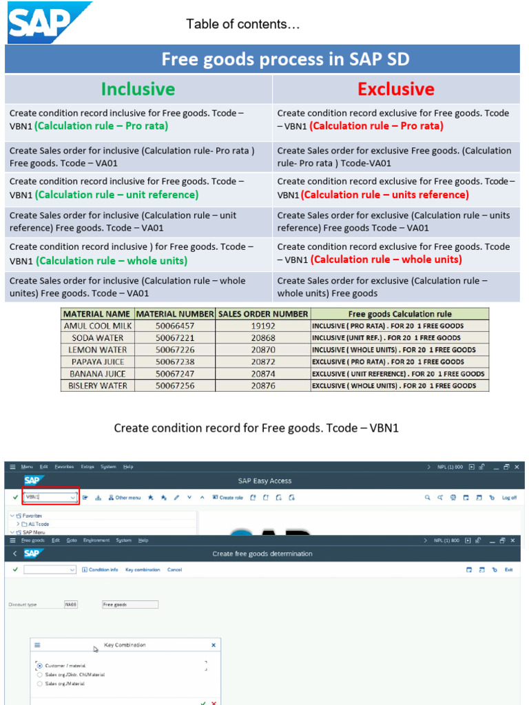 Free Goods Process in SD | PDF