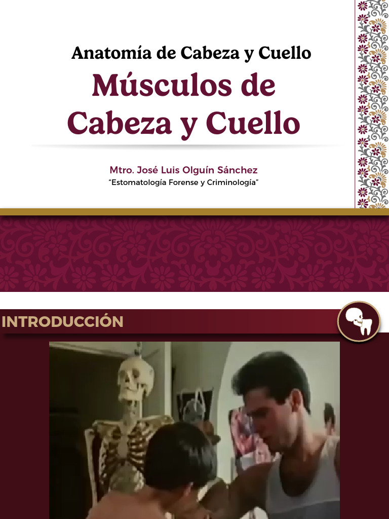 Músculos de Cabeza y Cuello | PDF | Laringe | Nariz humana