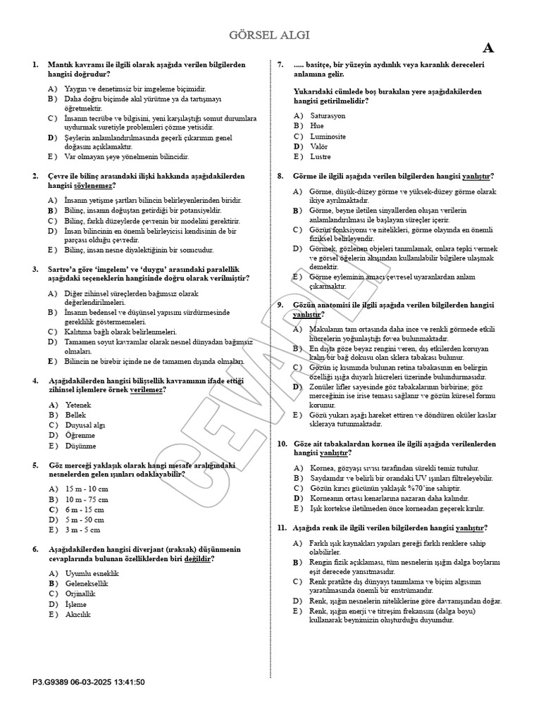 Görsel Algi Vi̇ze | PDF