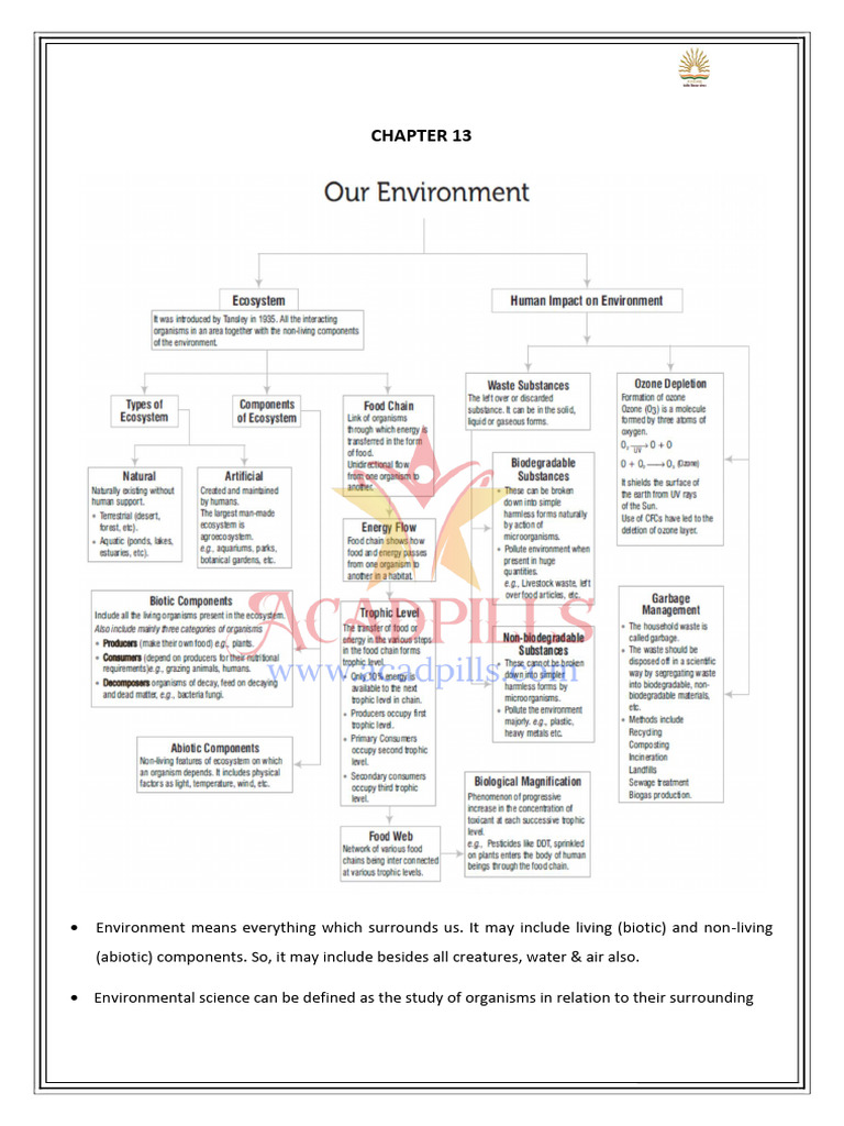 Our Environment NCERT NICHOOD -11 | PDF | Food Web | Waste
