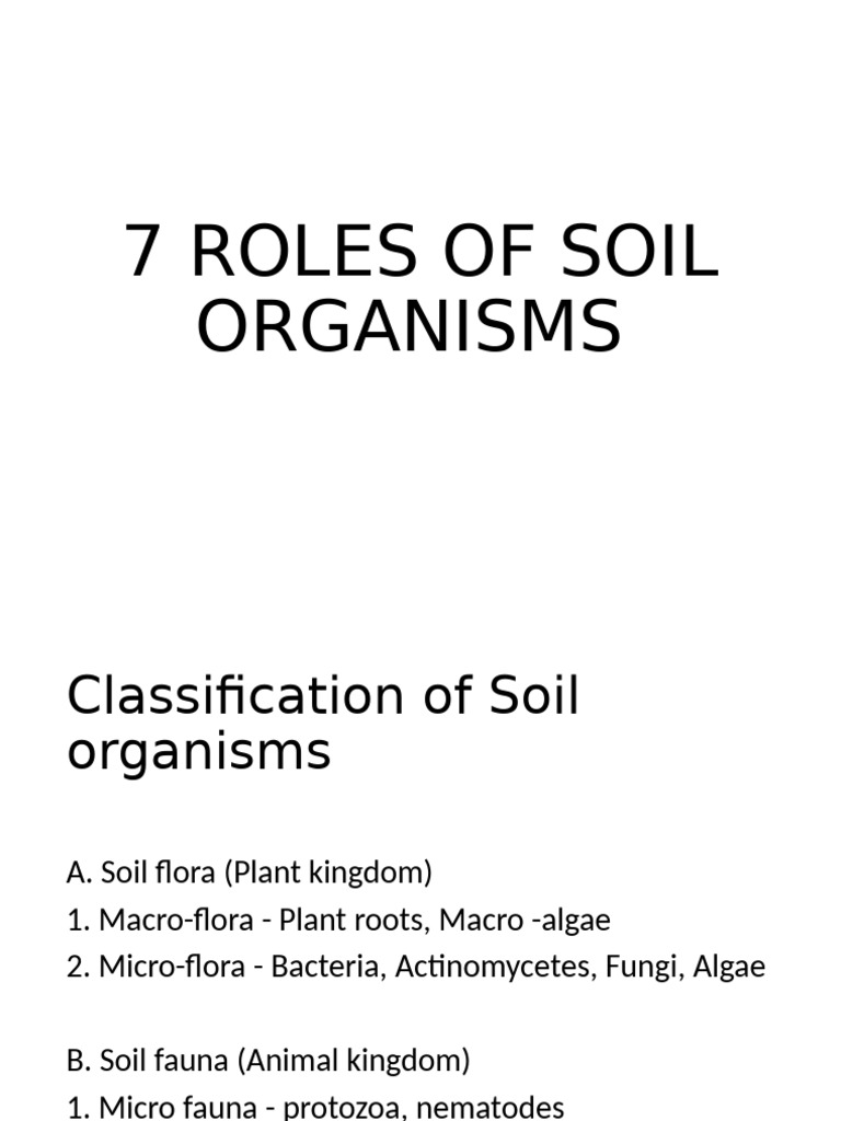 7 ROLES OF SOIL-WPS Office | PDF | Soil | Botany