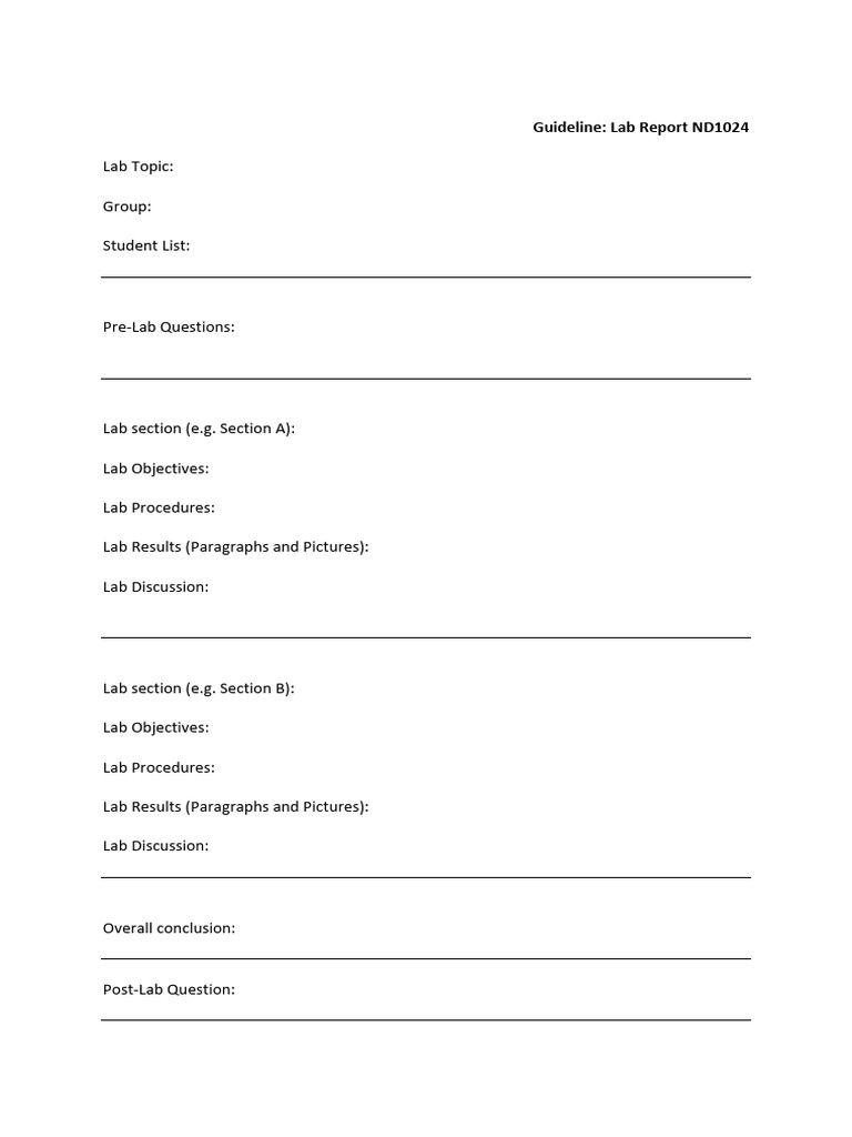 ND1024 PPM Lab Report Guideline | PDF