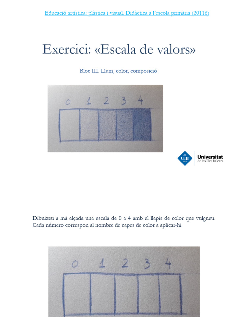 Exercici Escala de Valors | PDF