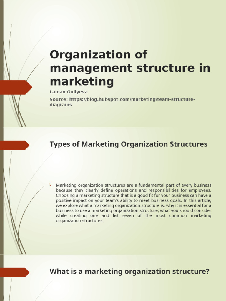 Marketing Organization Structures Explained | PDF | Organizational ...