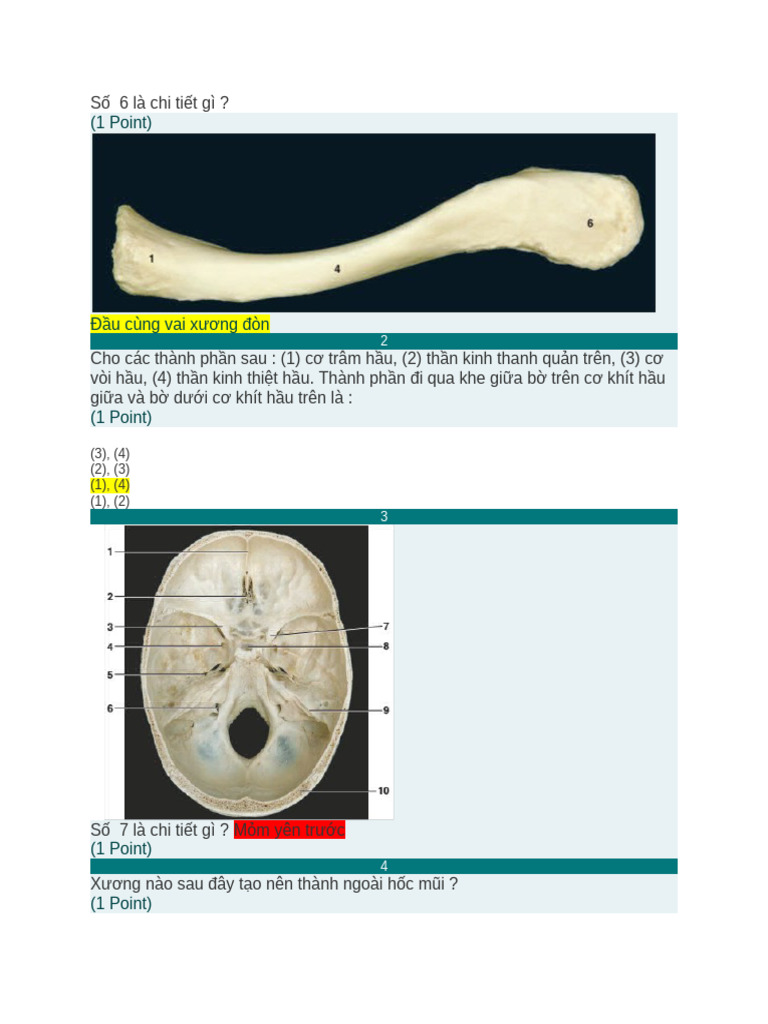 Đề CK GP1 Y20 | PDF