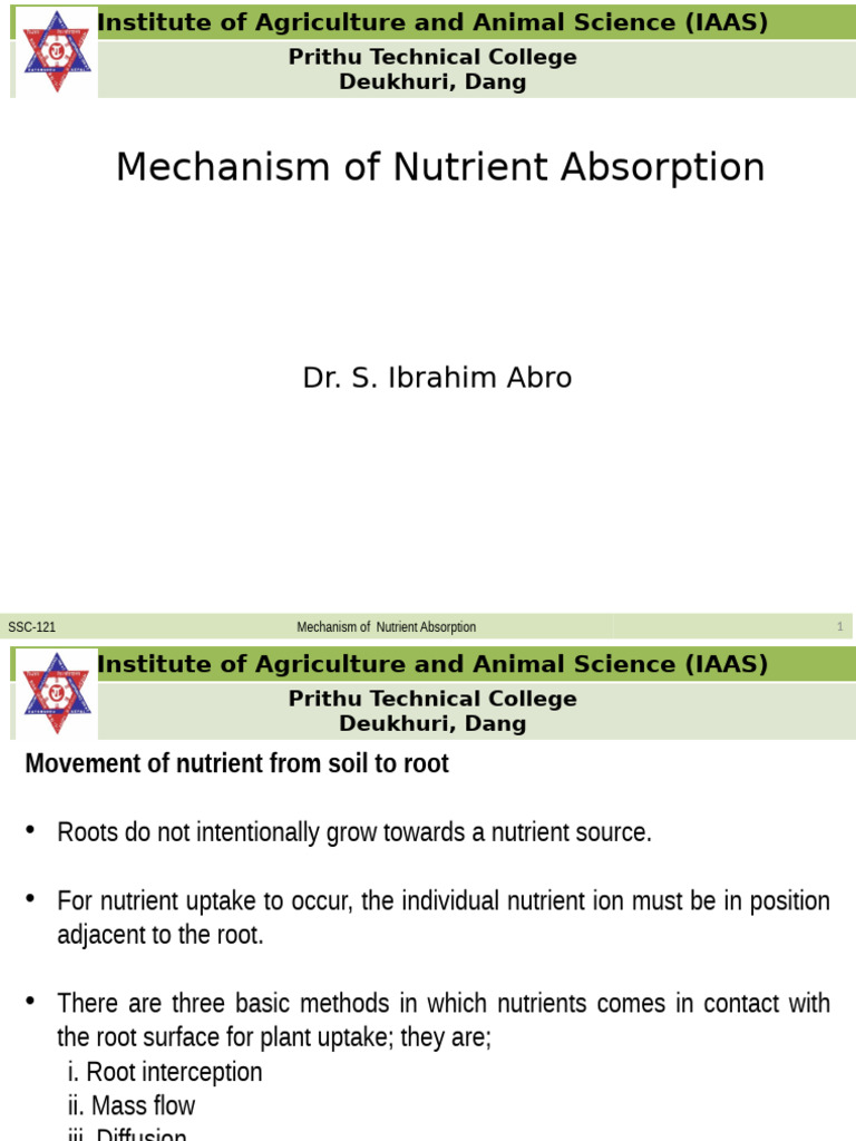 Mechanism of Nutrient Absorption | PDF | Soil | Root