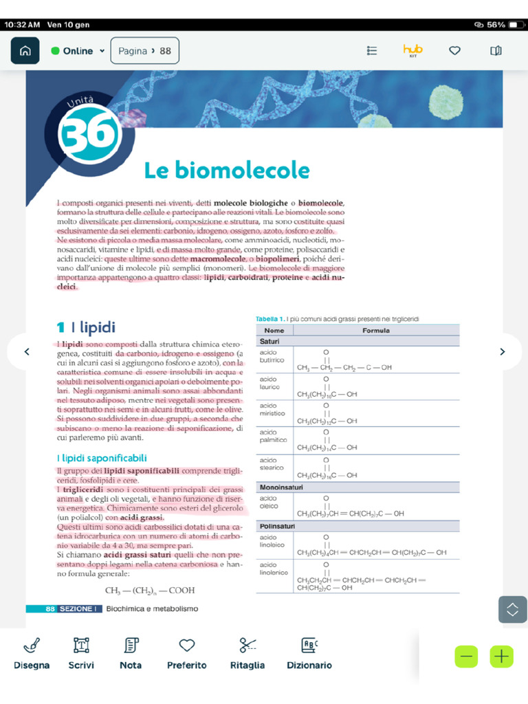 Le Biomolecole | PDF