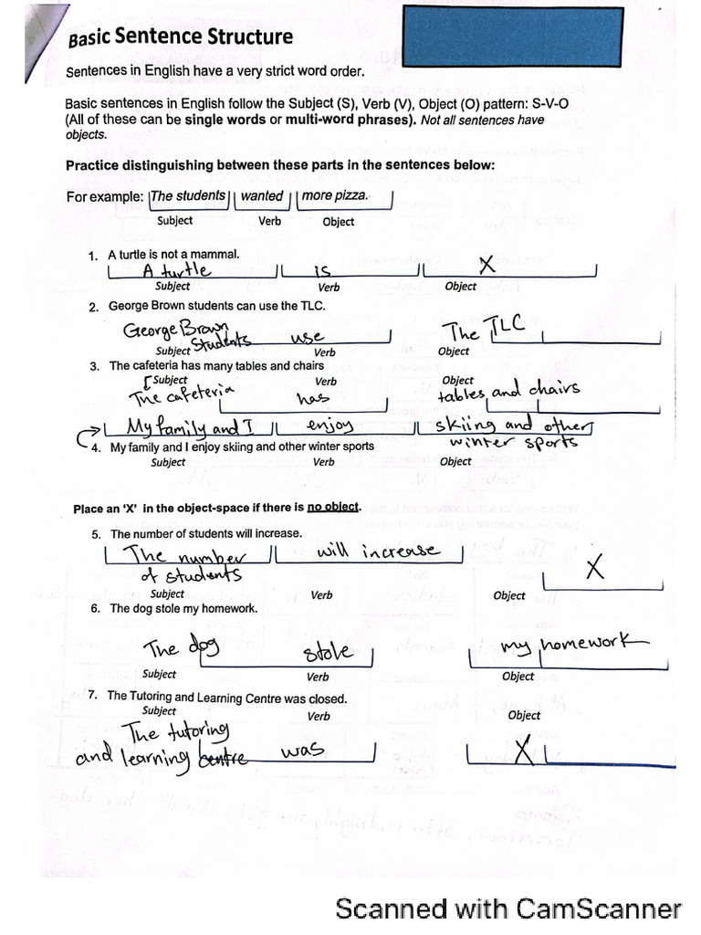 Answers - Sentence Structure and Direct-And-Indirect-Object | PDF