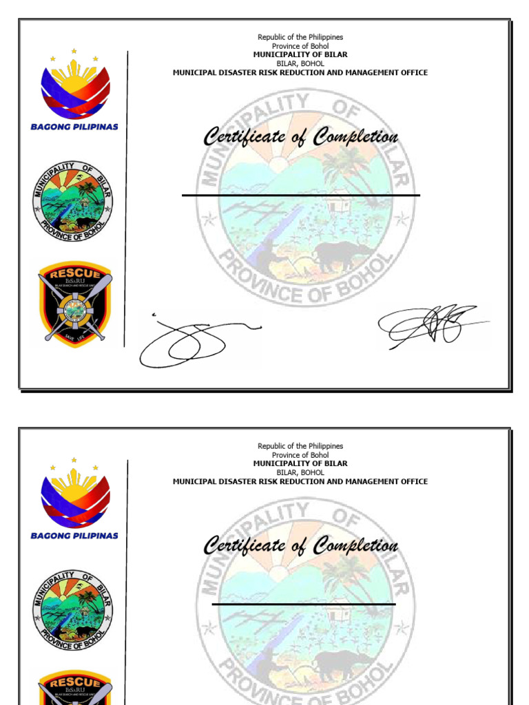 Certificate Training IMS Bisaru | PDF