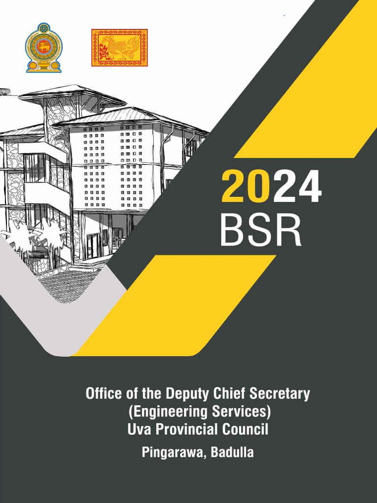 2024 BSR First Half | PDF | Value Added Tax | Specification (Technical Standard)