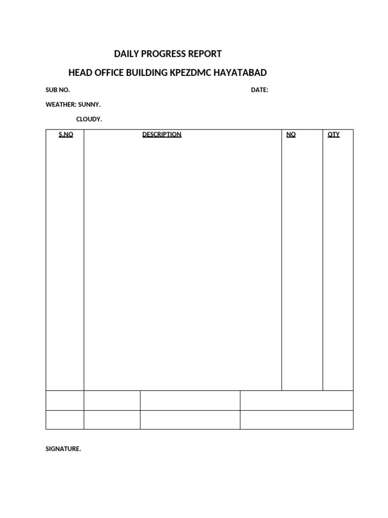 Daily Progress Report | PDF