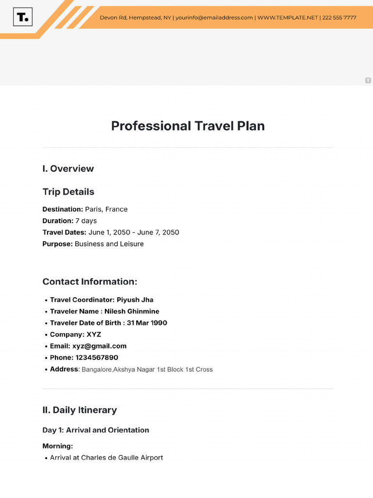 Free Professional Travel Plan Template | PDF