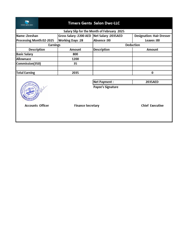 Zeeshan Salary SLip Month of February 2025 | PDF