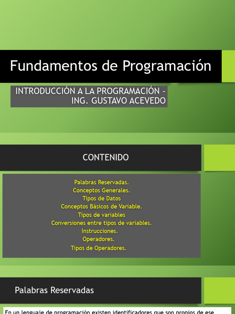 Fundamentos de Programación y Tipos de Datos | PDF | Lenguaje de ...