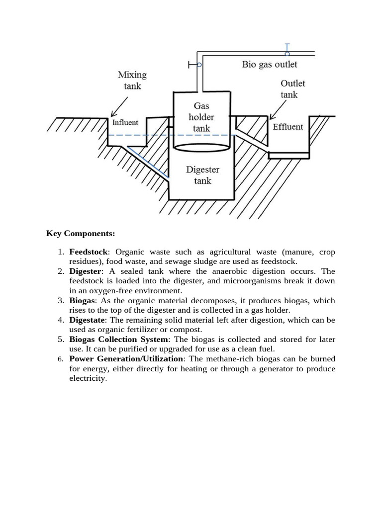 Anaerobic Digestion Process Explained | PDF