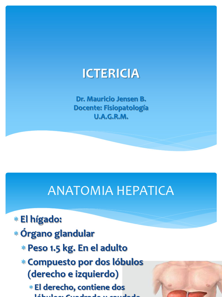Ictericia | PDF | Hígado | Bilis