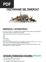 Anatomia Swini Atlas Interaktywny | PDF